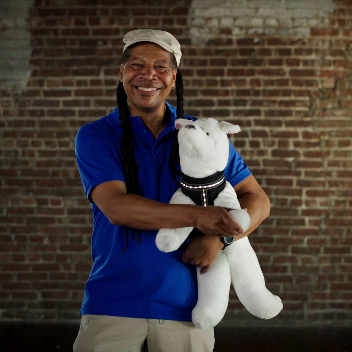 DC'S REMOTE CONTROL LED PET HARNESS – America's Big Deal